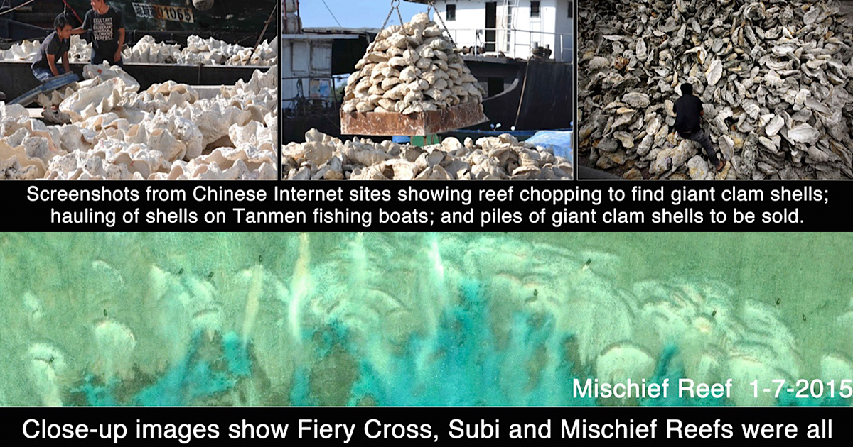 Satellite Imagery Shows Massive Destruction of Coral Reefs in West ...
